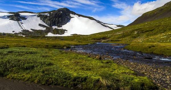 Climate Change and Its Impact on Iron and Phosphorus Dynamics in Arctic ...