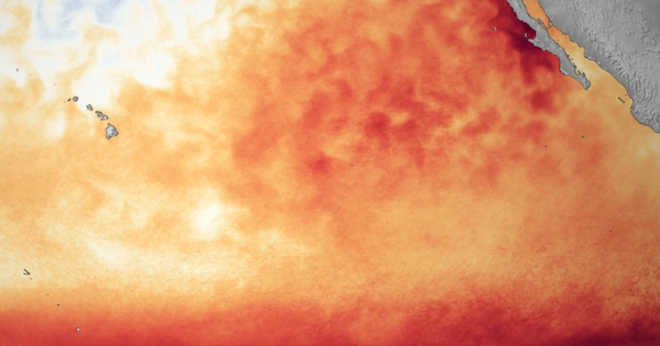 Interdisciplinary Climate Change Course Shows Format Promising | School ...